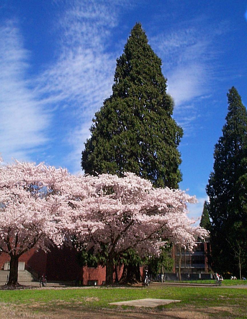 Photos by David "Novalis" Turner